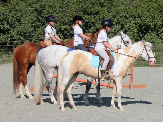 Western Horse Riding Lessons | Alaska Beginner Horse Riding Lessons ...